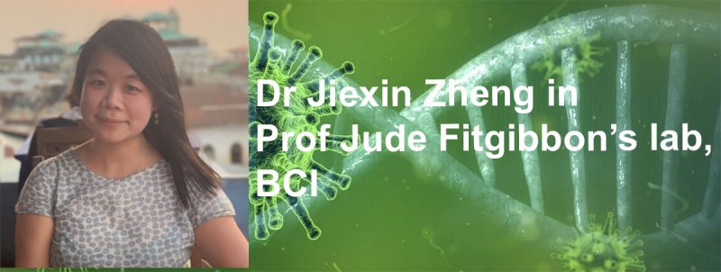 Newsletter: Issue 3 – CRUK – City Of London Cancer Centre